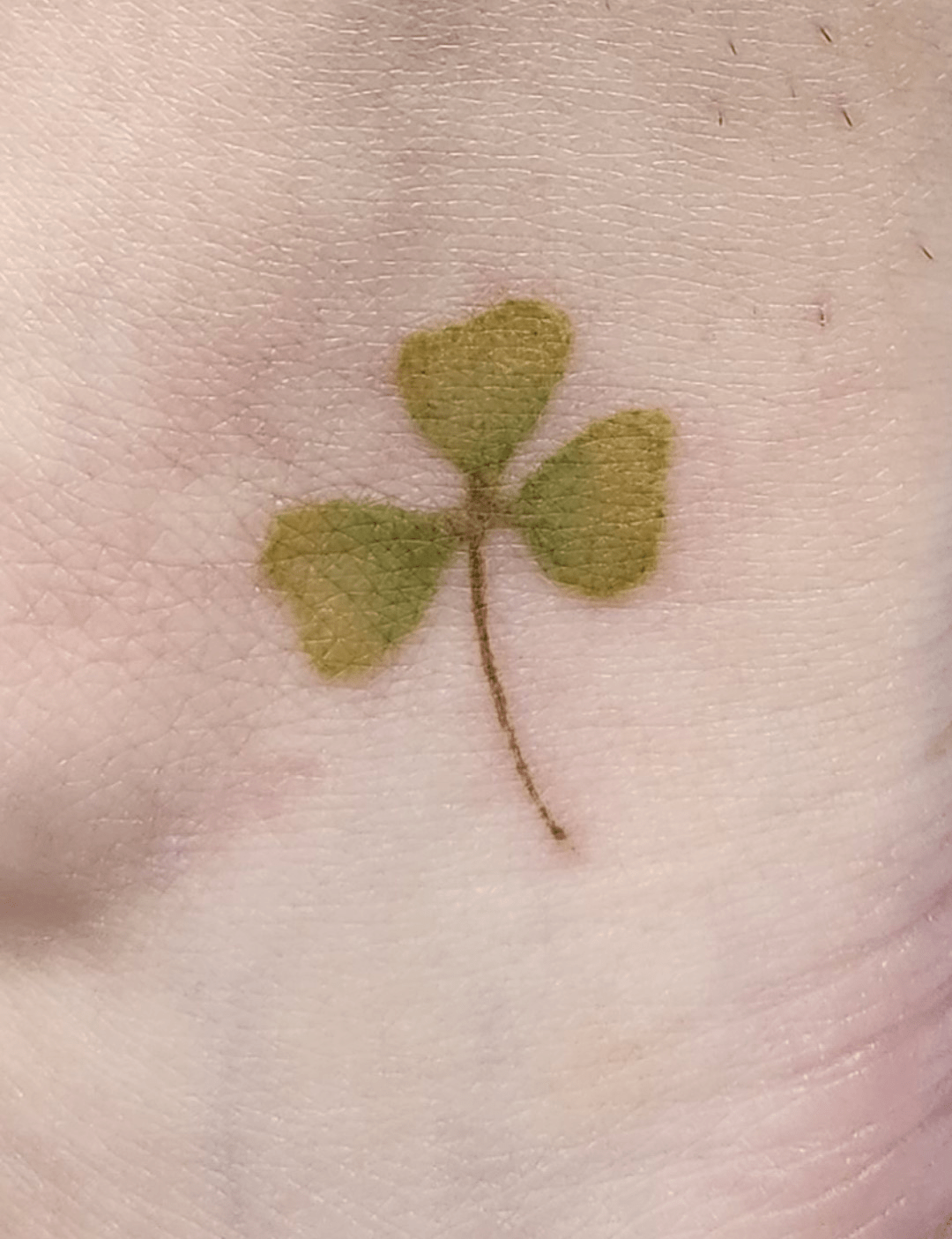 Pure Heart Tattoo is a Tattoo Parlor in Murfreesboro, TN 37130